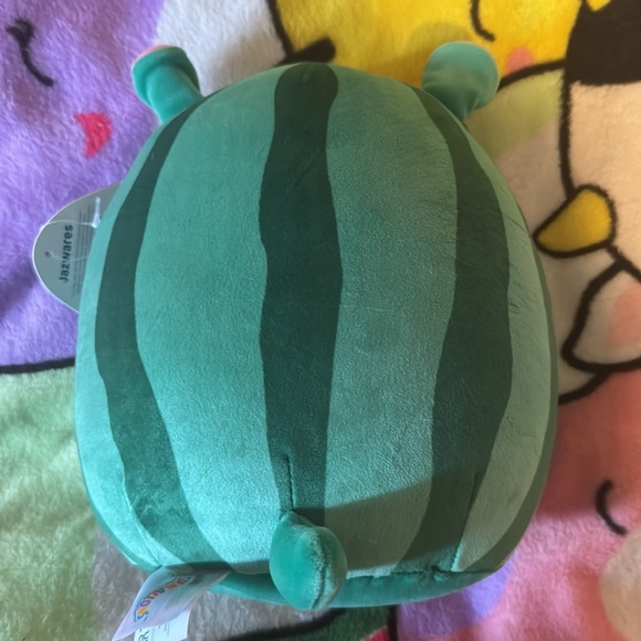 Squishmallows | Toys | Damaris The Watermelon Hippo Squishmallow Nwt ...